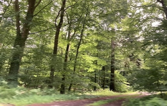 Startseite - Homepage Elsdorf-Westermühlen